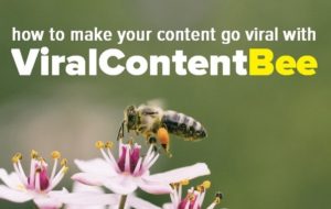ViralContentBee Guide 2021 - Make Your Blogs Go Viral On Autopilot